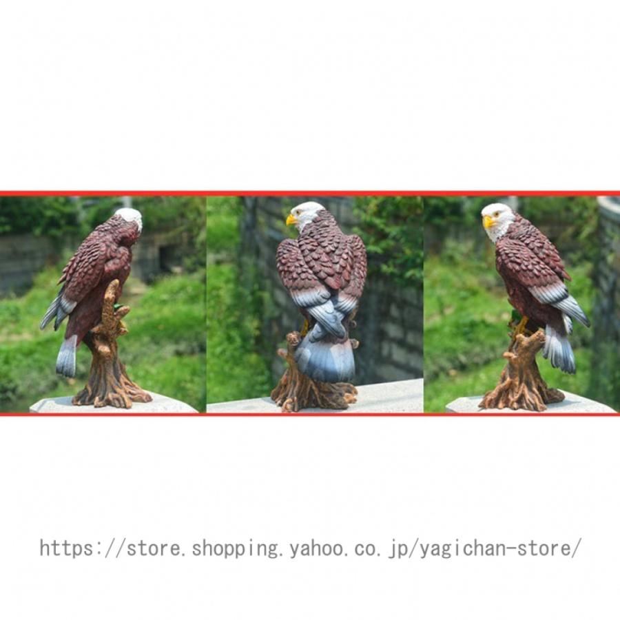 鳥の置き物 インコの置物 とり トリ オブジェ 動物 オーナメント ガーデン 庭 マスコット 雑貨 置物 リアル ディスプレィ おきもの 鷹 たか 樹脂材質 鳥の彫刻 : tvd-ebt ...