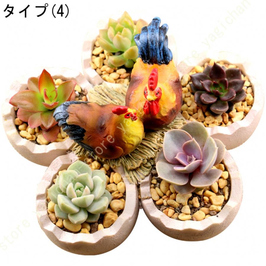 オシャレな装飾プランター サボテンポット 小鳥 レトロ ガーデニング置物 レジン製 ホームガーデン インテリア 小物 動物 園芸装飾 可愛い雑貨 プレゼント :tvD-ebt-KCHZZX9 ...