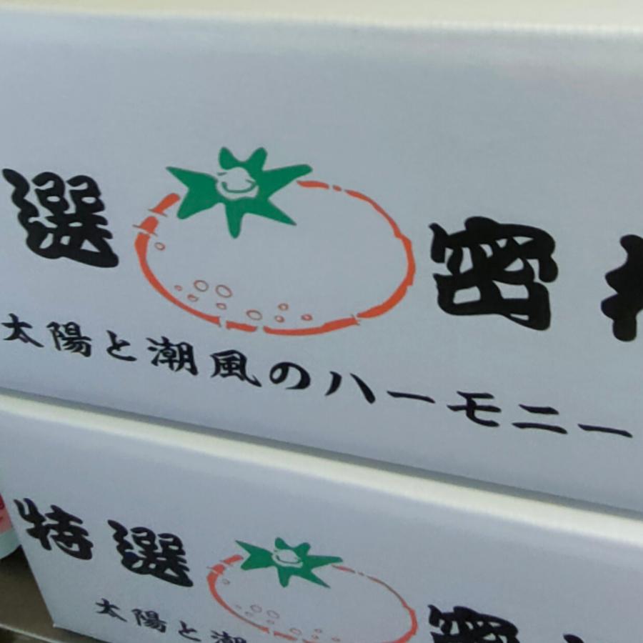 はれひめみかん BIG 3L〜4Lサイズ わけあり家庭用 5キロ えひめみかん温州北海道、東北、沖縄のお客様別途送料かかります。 : harehimebig : 三代目密柑屋 - 通販 ...