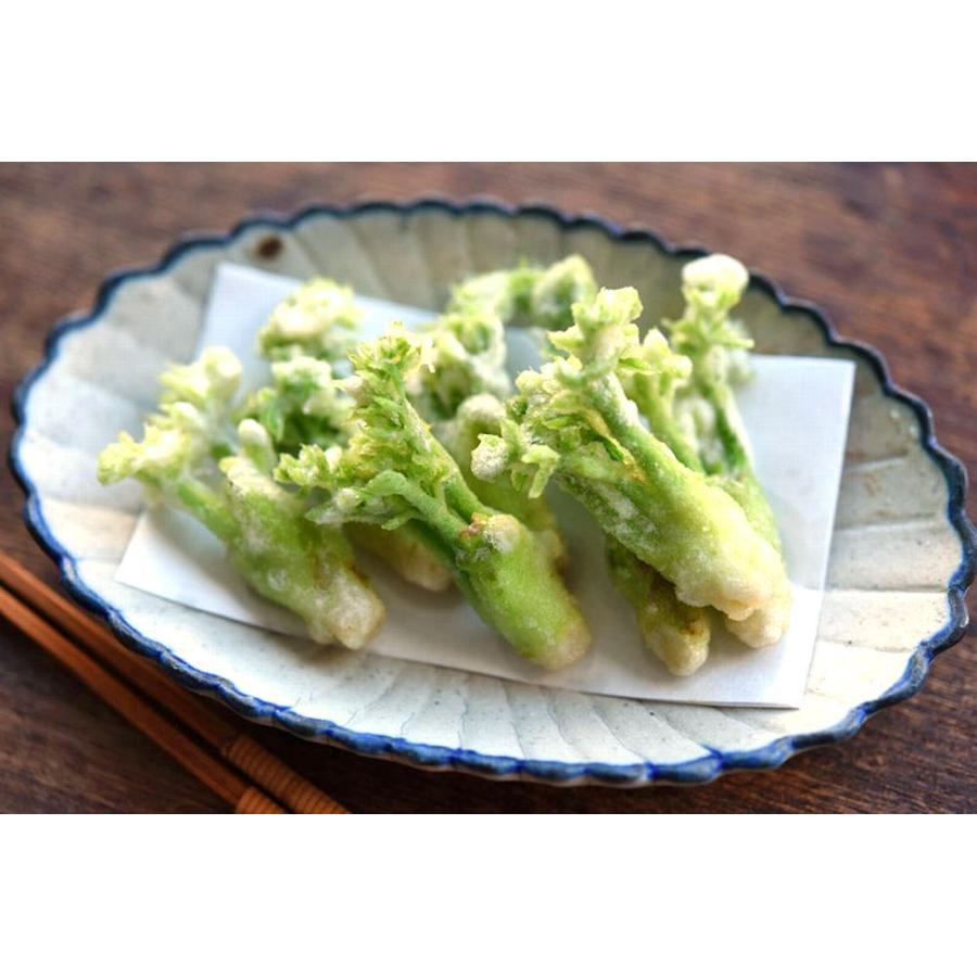 【発送中！】黒部産：天然たらの芽・タラの芽【混合サイズ】1,000g【クール便発送】 : 糸魚川翡翠姫川薬石専門店 薬石苑 - 通販 - Yahoo!ショッピング