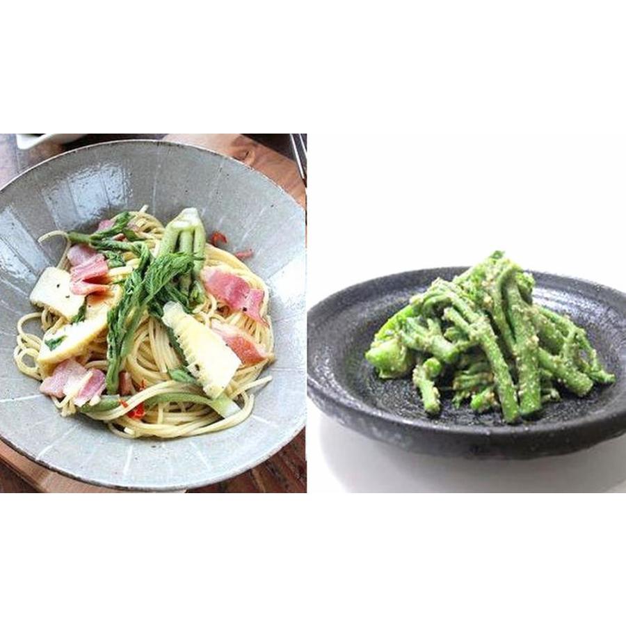 【発送中！】黒部産：天然たらの芽・タラの芽【混合サイズ】1,000g【クール便発送】 : 糸魚川翡翠姫川薬石専門店 薬石苑 - 通販 - Yahoo!ショッピング