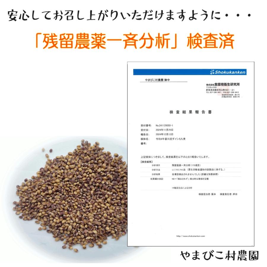 香川県産 もち麦（ダイシモチ） 950g ×6袋 （うち1袋（950g）プレゼント！） 国産 残留農薬ゼロ・グリホサートゼロ・ネオニコチノイドゼロ : やまびこ村農園ヤフー店 - 通販 ...