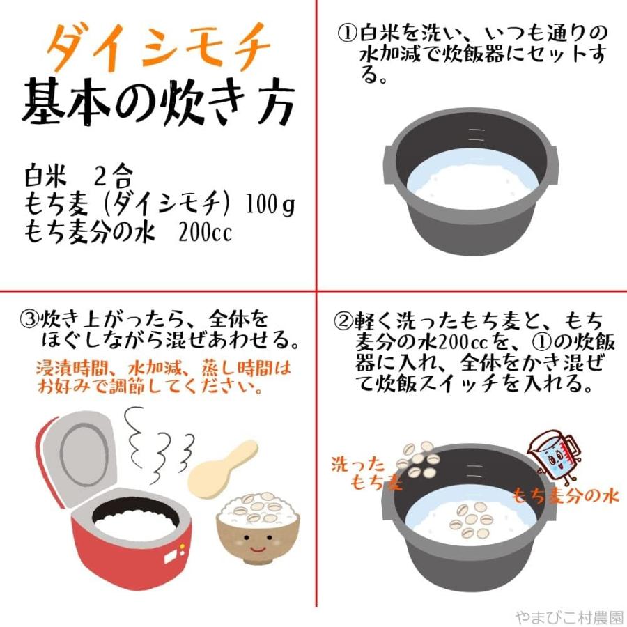 香川県産 もち麦（ダイシモチ） 950g ×6袋 （うち1袋（950g）プレゼント！） 国産 残留農薬ゼロ・グリホサートゼロ・ネオニコチノイドゼロ : やまびこ村農園ヤフー店 - 通販 ...