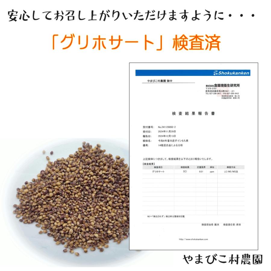 香川県産 もち麦（ダイシモチ） 950g ×6袋 （うち1袋（950g）プレゼント！） 国産 残留農薬ゼロ・グリホサートゼロ・ネオニコチノイドゼロ : やまびこ村農園ヤフー店 - 通販 ...