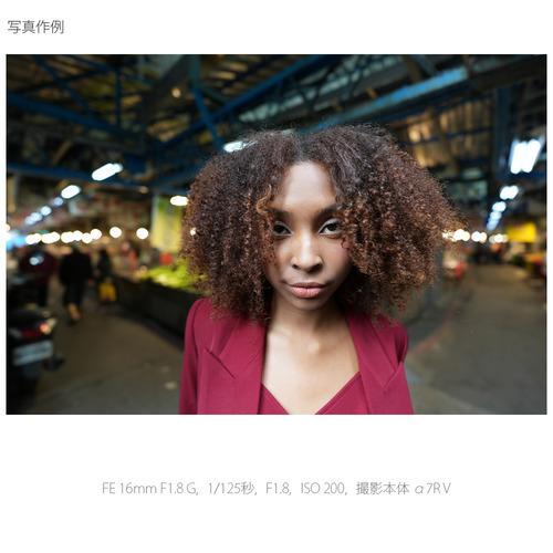 ソニー SEL16F18G デジタル一眼カメラレンズ α[Eマウント]用レンズ FE 16mm F1.8 G : ヤマダデンキ Yahoo!店 - 通販 - Yahoo!ショッピング