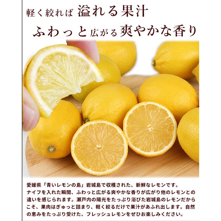 レモン 国産 無農薬 愛媛県産 皮まで食べられる 秀優クラス 3kg (M〜2L) 玉数お任せ : さくらんぼ 山形ふるさと食品館 - 通販 - Yahoo!ショッピング