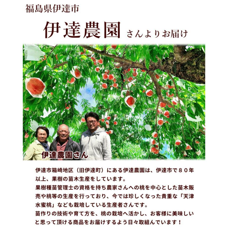 もも 桃 福島県産 川中島白桃 秀 2kg（6〜9玉）伊達農園 : さくらんぼ 山形ふるさと食品館 - 通販 - Yahoo!ショッピング