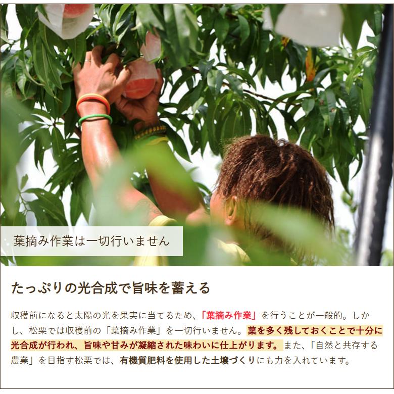 【贈答用】黄桃 2kg（6〜8玉）/株式会社 松栗/送料無料 : 山形直送計画 Yahoo!ショッピング店 - 通販 - Yahoo!ショッピング