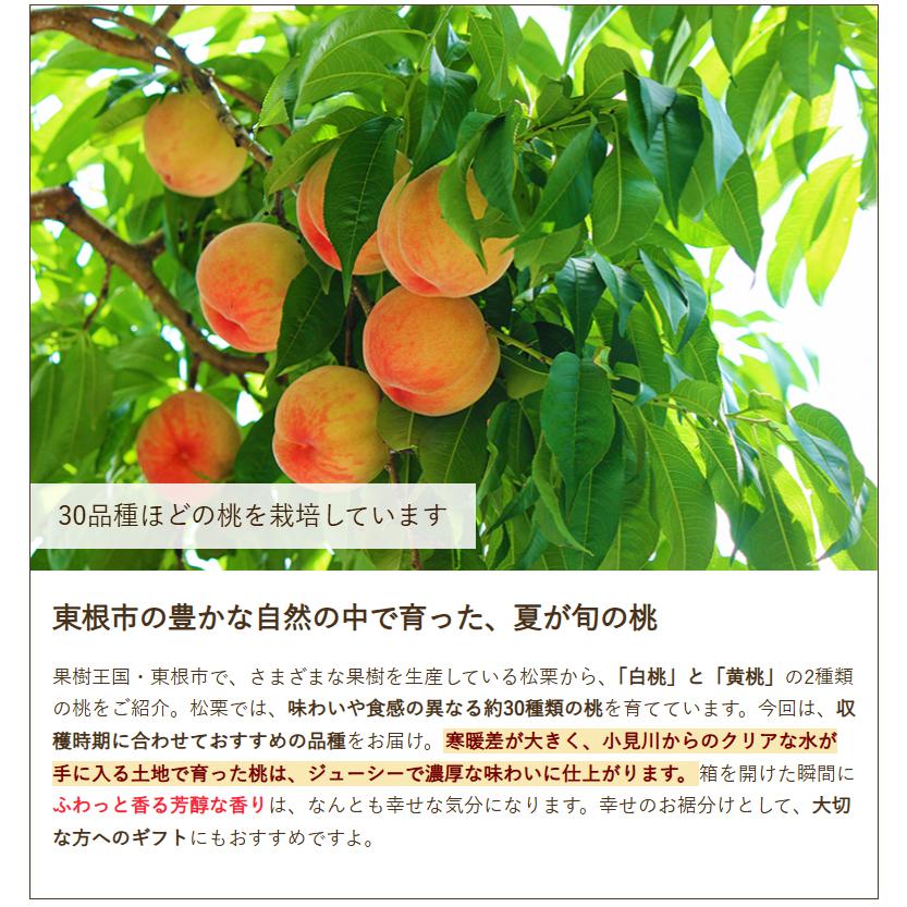 【家庭用】白桃 2kg（6〜8玉）/株式会社 松栗/送料無料 : 山形直送計画 Yahoo!ショッピング店 - 通販 - Yahoo!ショッピング