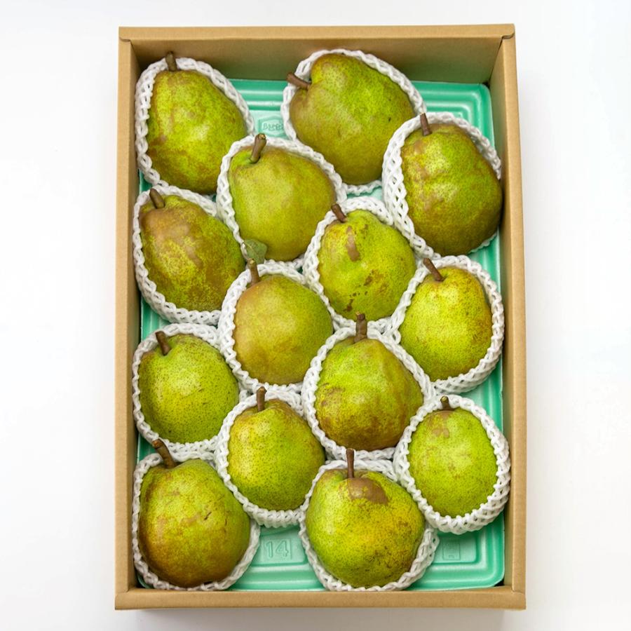 【贈答用】ラ・フランス 4L 5kg（14玉）/Farmおとらふ/後払い決済不可/送料無料 : 山形直送計画 Yahoo!ショッピング店 - 通販 - Yahoo!ショッピング