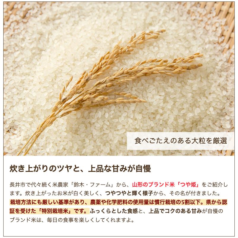 【令和7年度新米】特別栽培米（減農薬・減化学肥料）山形県産つや姫 精米10kg（10kg×1袋）/鈴木・ファーム/送料無料 : 山形直送計画 Yahoo!ショッピング店 - 通販 ...