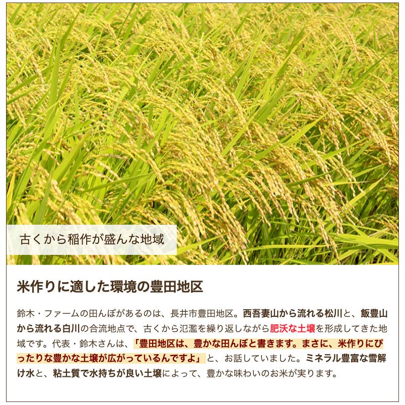 【令和7年度新米】特別栽培米（減農薬・減化学肥料）山形県産つや姫 精米10kg（10kg×1袋）/鈴木・ファーム/送料無料 : 山形直送計画 Yahoo!ショッピング店 - 通販 ...