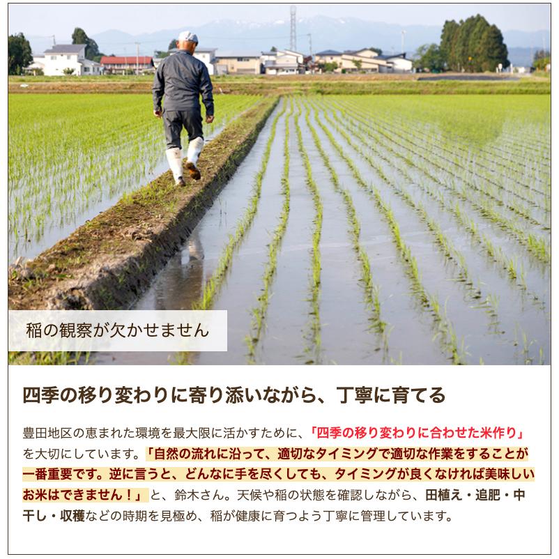 【令和7年度新米】特別栽培米（減農薬・減化学肥料）山形県産つや姫 精米10kg（10kg×1袋）/鈴木・ファーム/送料無料 : 山形直送計画 Yahoo!ショッピング店 - 通販 ...