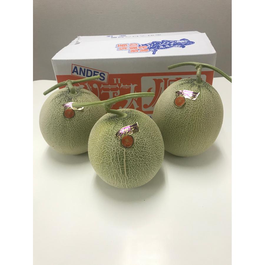 庄内砂丘 メロン 秀品 4L 3玉 （青肉）約5Kg : 2-7 : 山形特産 - 通販 - Yahoo!ショッピング