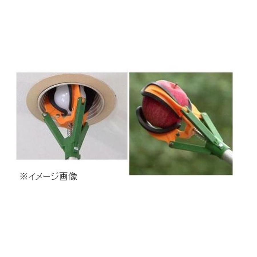 DAISIN つかむ君(園芸用品) 【 】 : ヤマキシヤフー店 - 通販 - Yahoo!ショッピング