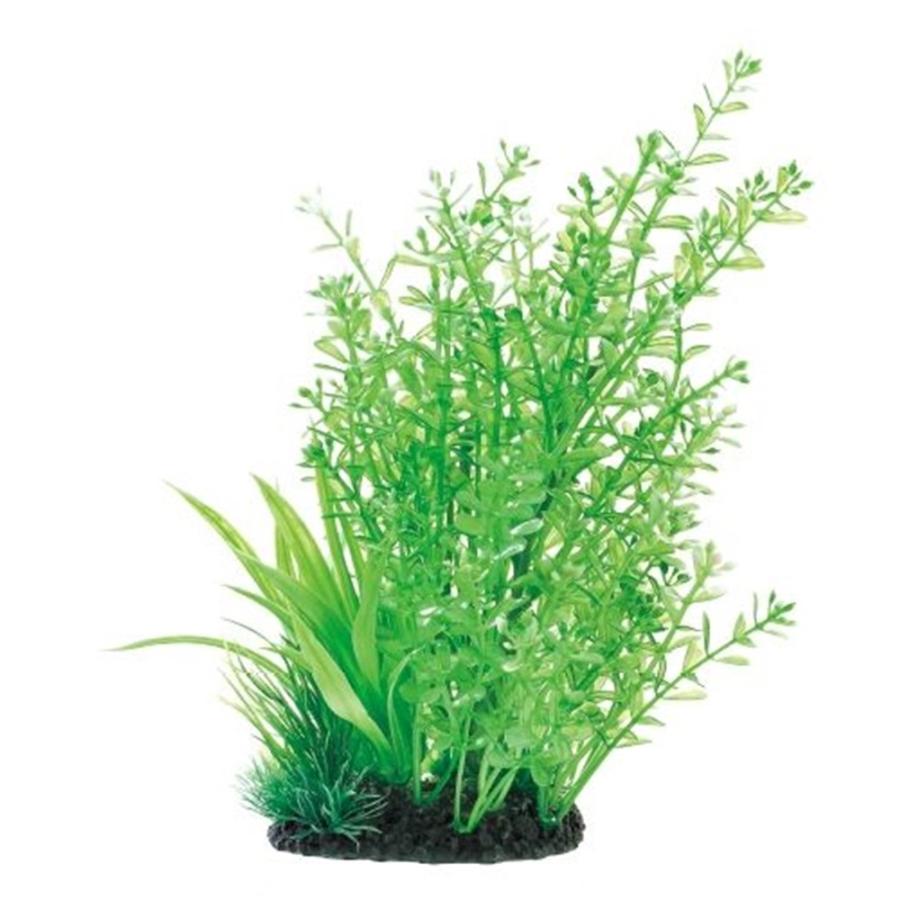 GEX ジェックス 癒し水景 MIXプランツ L パール L : ヤマキシヤフー店 - 通販 - Yahoo!ショッピング