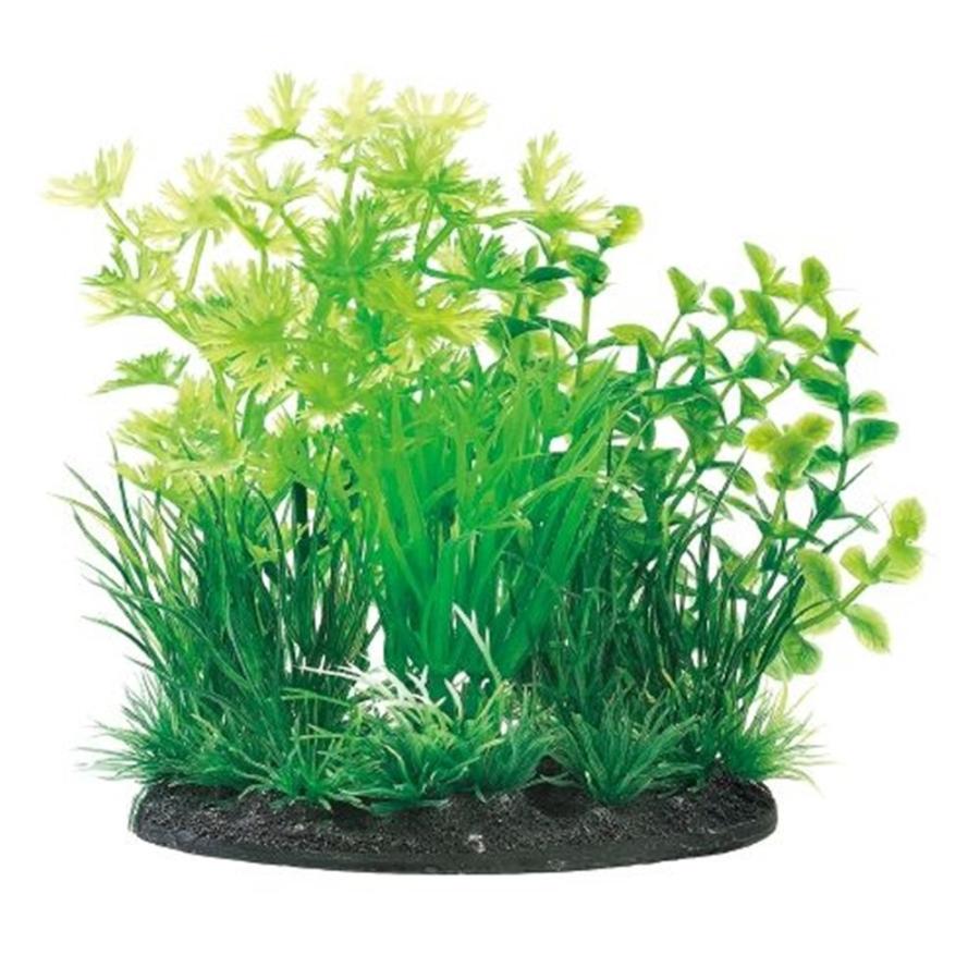 GEX（ジェックス） 癒し水景 MIXプランツ L ロタラ L : ヤマキシヤフー店 - 通販 - Yahoo!ショッピング