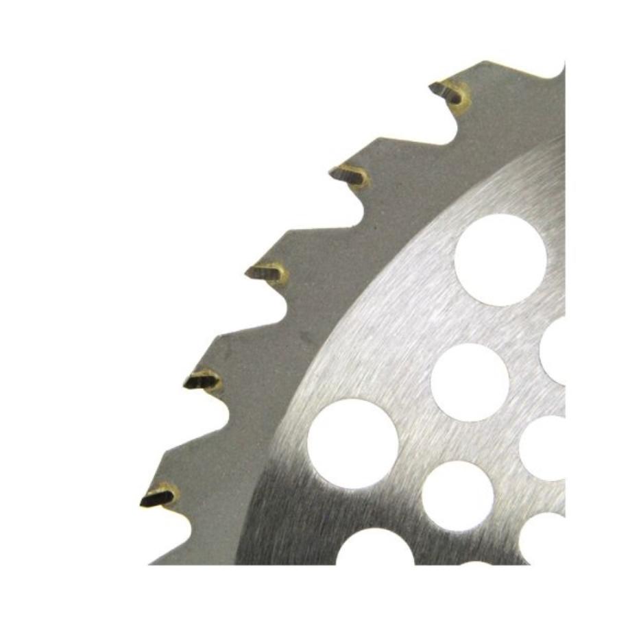 E-Value 軽量タイプ チップソー 2枚組 [園芸機器 刈払機 草刈機 替え刃 草刈り チップソー 竹 枝 切断 軽量 穴あき] ETT-230mm×36P : 4977292642705 ...