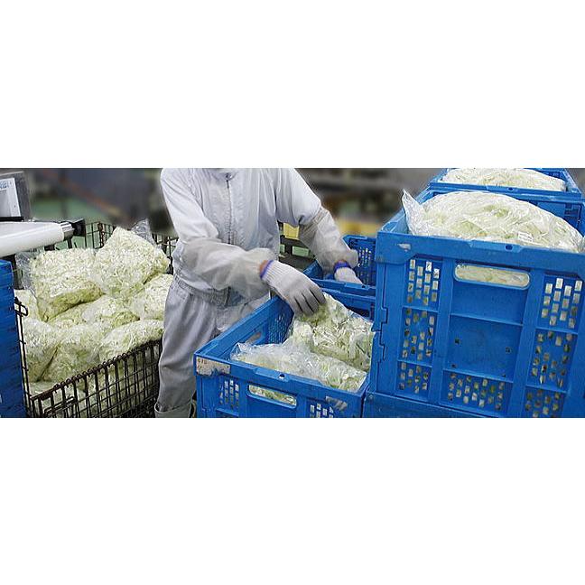 サンコーオリコン 50A(2) 底面突起無 5個セット ブルー or オレンジ 内容量 52.4L 折りたたみ式コンテナ 三甲 : snko ...