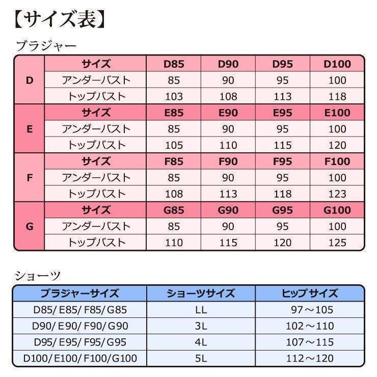 大きいサイズ レディース 下着 ブラジャー ブラショーツセット D85 D90 D95 D100 E85 E90 E95 E100 F85 F90 : やまとストアYahoo!店 - 通販 ...