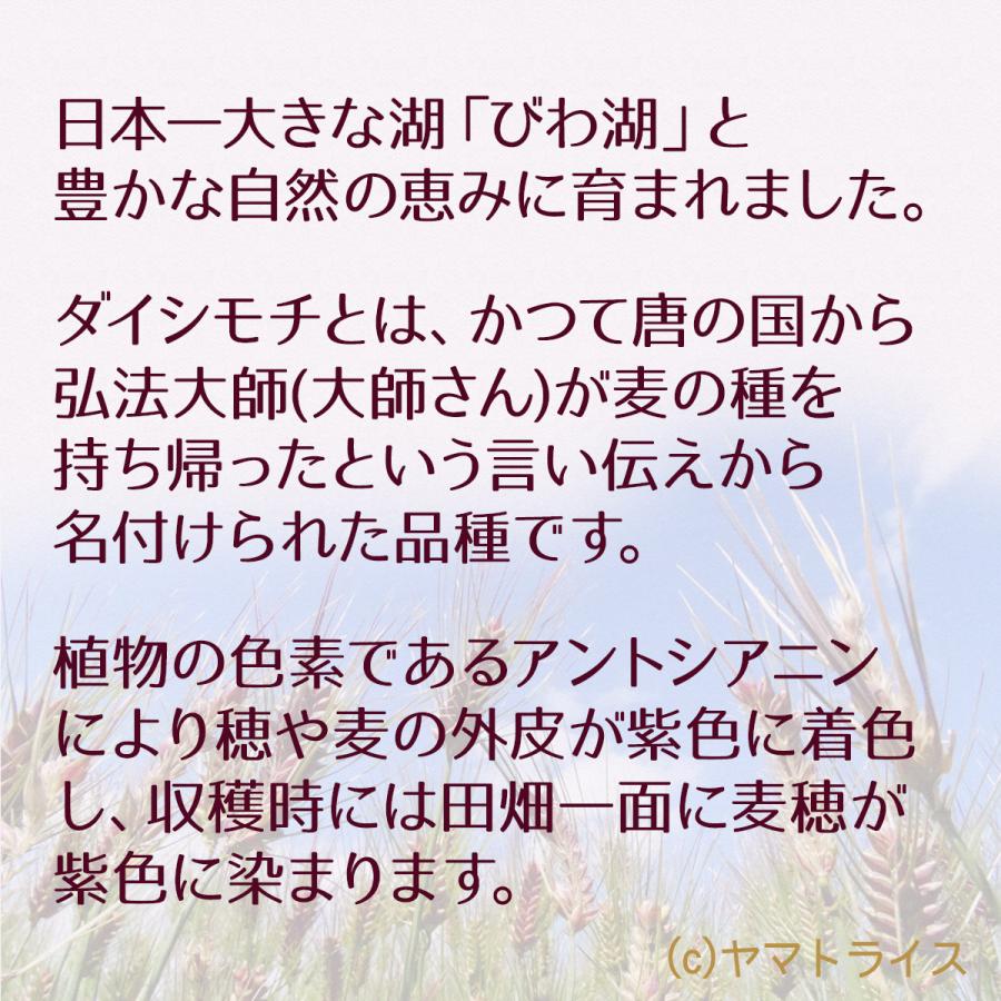 ヤマトライス 紫もち麦 国産 ダイシモチ 3kg (300g×10袋) 滋賀県産 : ヤマトライス Yahoo!ショッピング店 - 通販 - Yahoo!ショッピング