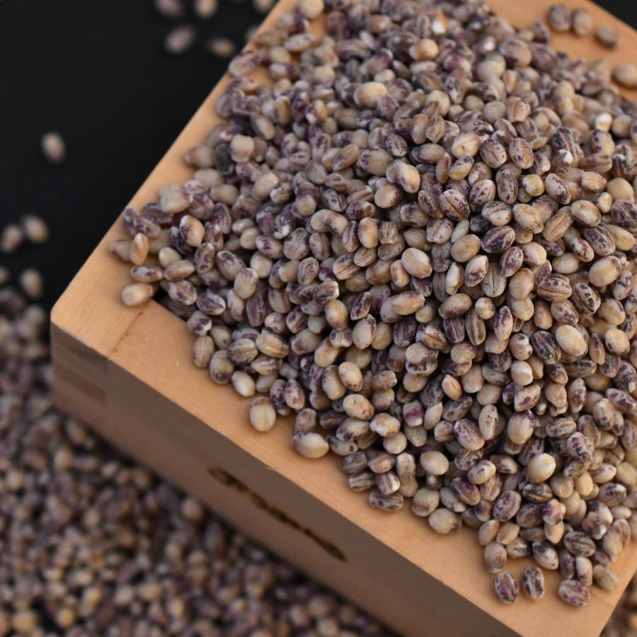 ヤマトライス 紫もち麦 国産 ダイシモチ 3kg (300g×10袋) 滋賀県産 : ヤマトライス Yahoo!ショッピング店 - 通販 - Yahoo!ショッピング