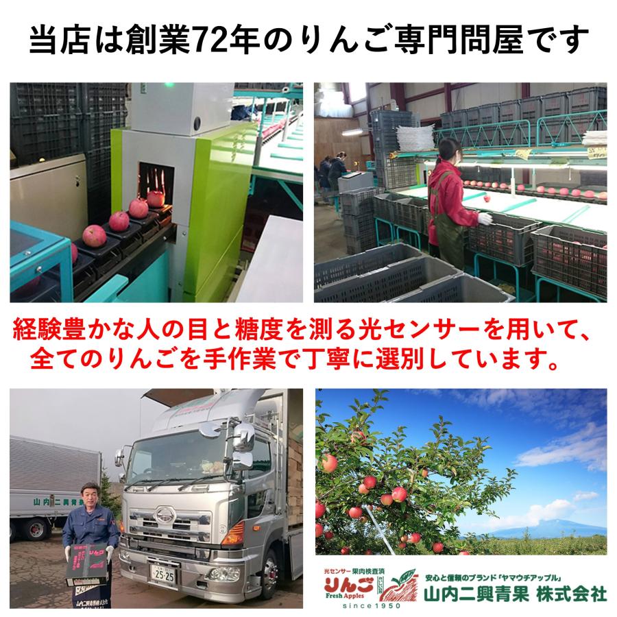 【爆売りセール開催中！】 御歳暮 ギフト 青森県産 サンふじ 王林 りんご 特選品 約5kg 大玉 糖度13度以上※時期ごとに旬の組み合わせをお届けします yoshiyuki0804.sub.jp