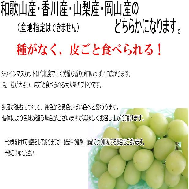 シャインマスカット 約1.2〜1.4kg（2房）和歌山産・香川産・山梨産・岡山産 送料無料 : 紀州田舎の小さな八百屋さん - 通販 - Yahoo!ショッピング