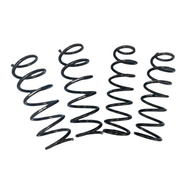 チューハツ プラス マルチロード ダイハツ ロッキー HEV FF A202S用 (CP130-A2120) 【リフトアップサス】 中央発條 ...