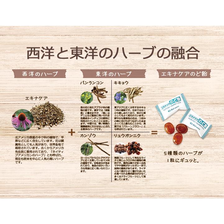 エキナケアのど飴 52g(15粒)×20個セット エキナケア、バンランコン（板藍根）、リュウガンニク キキョウ 板藍 のど飴 エキナセア : 八ツ目製薬Yahoo!店 - 通販 - Yahoo ...