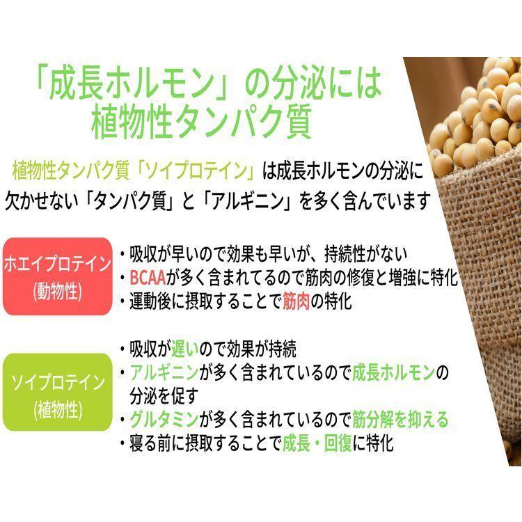 NOBITA ノビタ ジュニア用 プロテイン ソイプロテイン spazio 成長 回復 小学生 中学生 FD0002 キッズプロテイン マンゴーオレンジ味 600g : BASEBALL ...