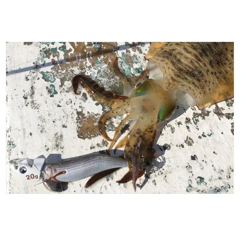 ヤマシタ エギ王 TRシンカー 20g PU パープル : 釣具のFTO - 通販 - Yahoo!ショッピング