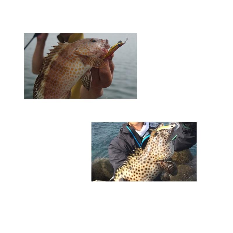 BREADEN ブリーデン メタルマル28 プラチナキャンディ : 釣具のFTO - 通販 - Yahoo!ショッピング