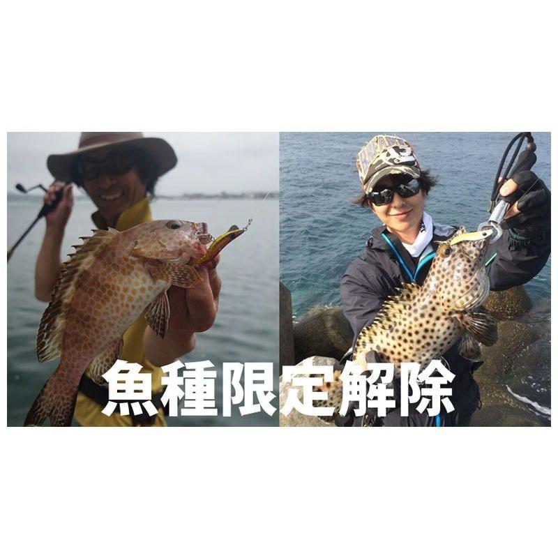 BREADEN ブリーデン メタルマル28シングル #08 レッドフレーム : 釣具のFTO - 通販 - Yahoo!ショッピング