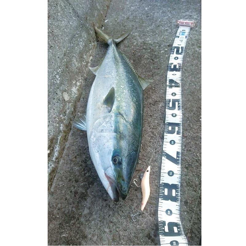 BREADEN ブリーデン 超越 105 Cho-etsu! #07 ピンクキャンディ : 釣具のFTO - 通販 - Yahoo!ショッピング