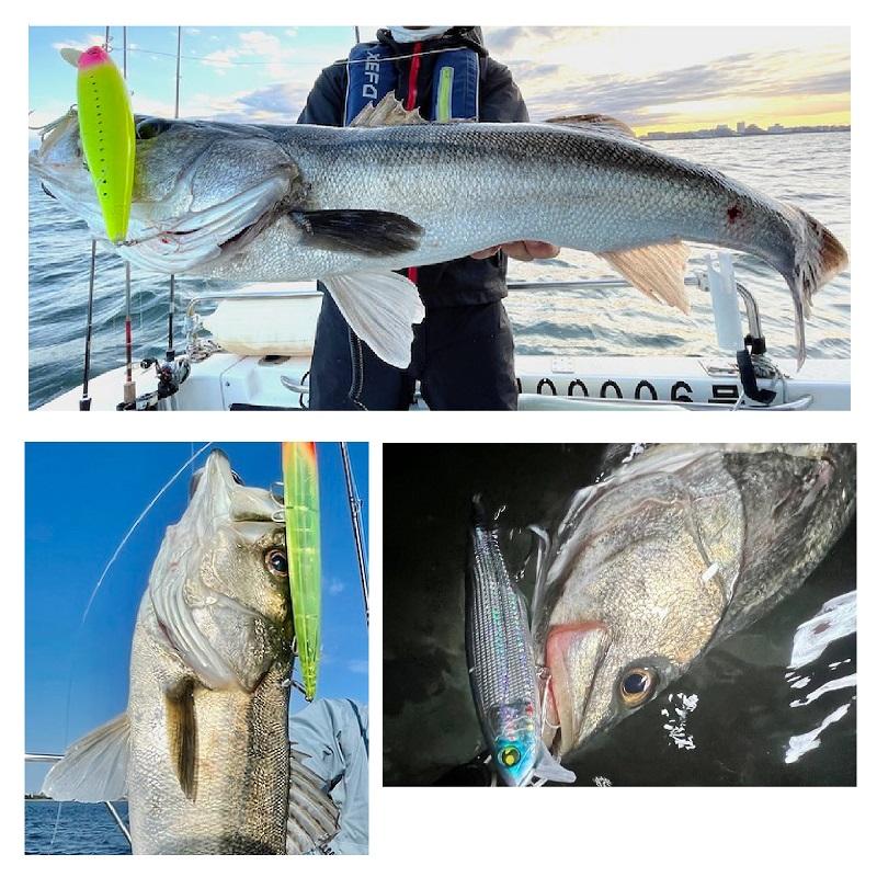 マルジン UKBW-07 UKビックウェイク170F #71 SB(島原ブラック) : 釣具のFTO - 通販 - Yahoo!ショッピング