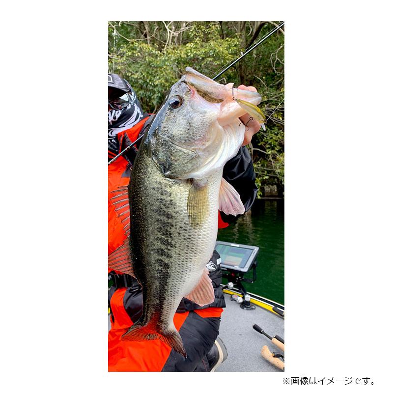 IMAKATSU イマカツ IKスピンジャーク 3DR #869 3Dドライワカサギ : 釣具のFTO - 通販 - Yahoo!ショッピング