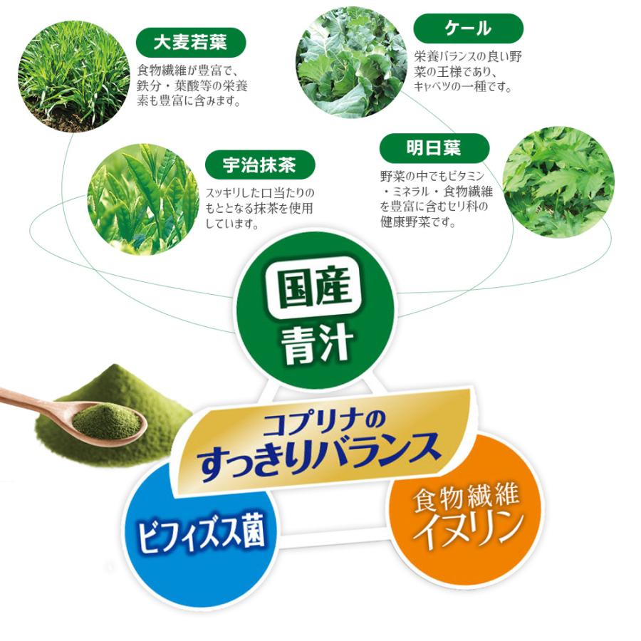 新すっきりビフィズス菌青汁 2.5gx30包 2個60日分 (粉末/ビフィズス菌20億個/大麦若葉/ケール/明日葉/オリゴ糖/イヌリン/国内製造) : f02544-2-s : コプリナ ...
