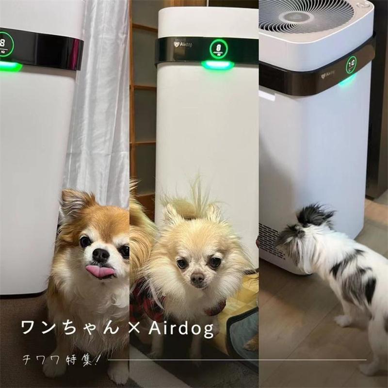 Airdog X5D エアドッグ 高性能空気清浄機 co2センサー搭載 キャスター付 静音 X5D正規 空気清浄機 花粉対策 PM2.5 ウイルス除去 イオン : エアテック専門店 - 通販 ...