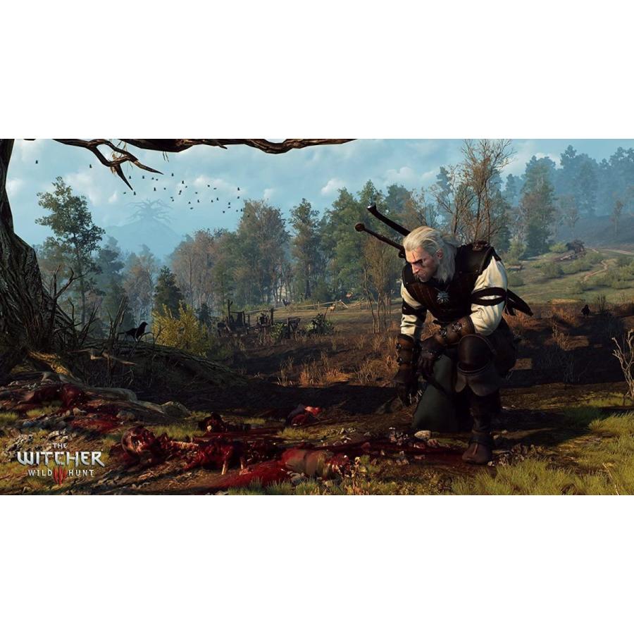 PS4 The Witcher 3 Game of the Year Edition ウィッチャー3 ワイルドハント プレステ プレイ ...