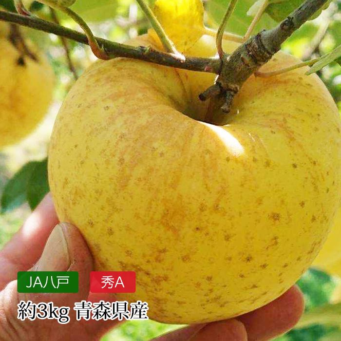 りんご はるか 青森県産 秀A 約3kg 8〜12玉 : 産直プレミアム - 通販 - Yahoo!ショッピング