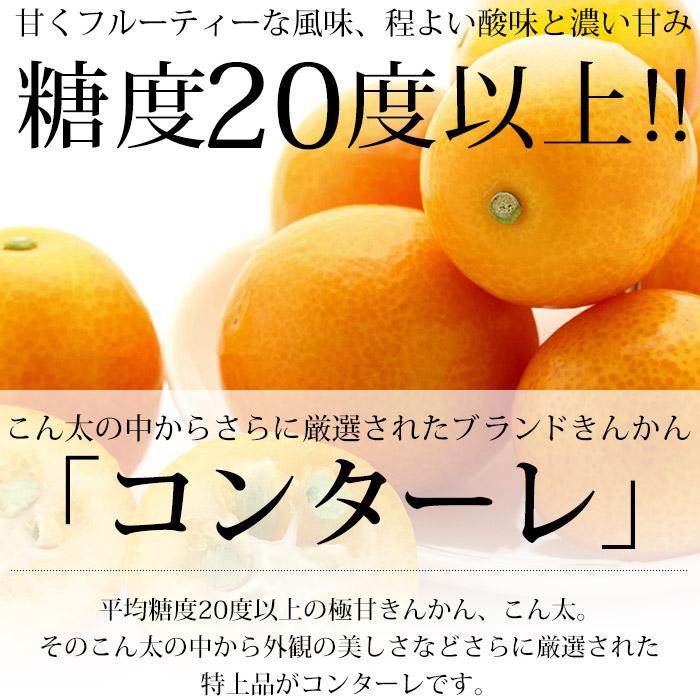 完熟きんかん 静岡県産 コンターレ こん太プレミアム 約1kg 2L〜4Lサイズ : 産直プレミアム - 通販 - Yahoo!ショッピング