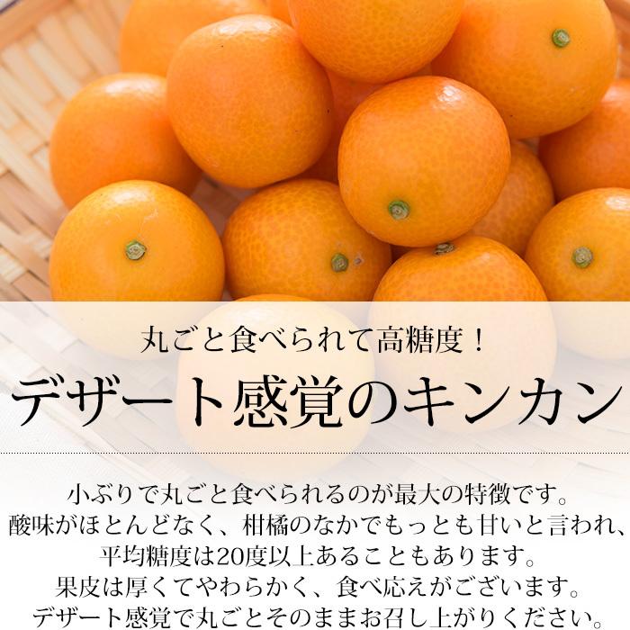 完熟きんかん 静岡県産 コンターレ こん太プレミアム 約1kg 2L〜4Lサイズ : 産直プレミアム - 通販 - Yahoo!ショッピング