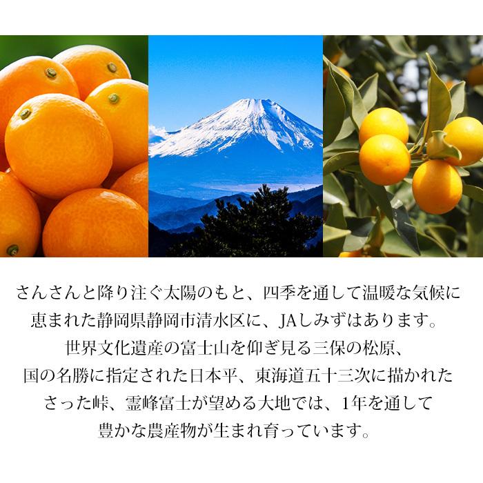 完熟きんかん 静岡県産 コンターレ こん太プレミアム 約1kg 2L〜4Lサイズ : 産直プレミアム - 通販 - Yahoo!ショッピング