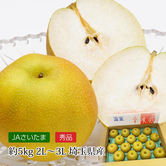 梨 埼玉県産 常光の幸水 秀品 2L〜3Lサイズ 約5kg 14〜16玉 : 産直プレミアム - 通販 - Yahoo!ショッピング