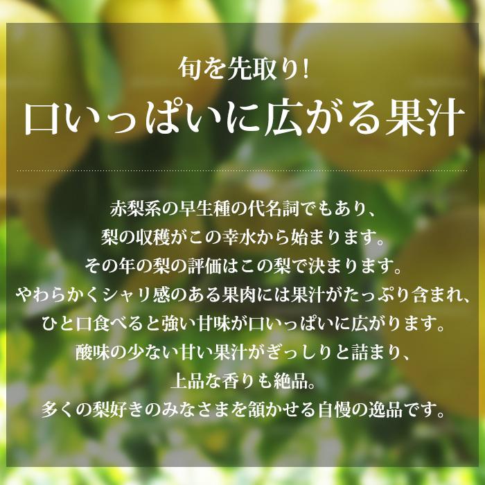 梨 埼玉県産 常光の幸水 秀品 2L〜3Lサイズ 約5kg 14〜16玉 : 産直プレミアム - 通販 - Yahoo!ショッピング