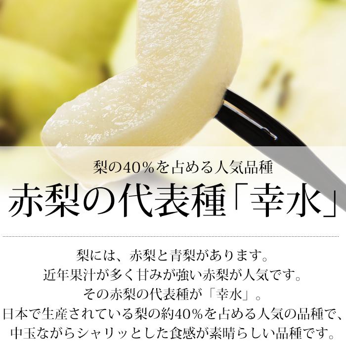 梨 埼玉県産 常光の幸水 秀品 2L〜3Lサイズ 約5kg 14〜16玉 : 産直プレミアム - 通販 - Yahoo!ショッピング