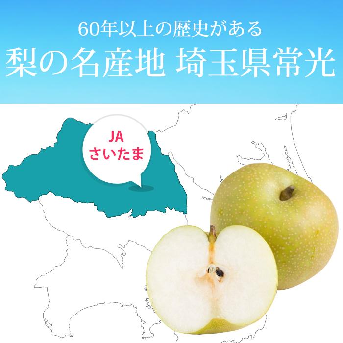 梨 埼玉県産 常光の幸水 秀品 2L〜3Lサイズ 約5kg 14〜16玉 : 産直プレミアム - 通販 - Yahoo!ショッピング