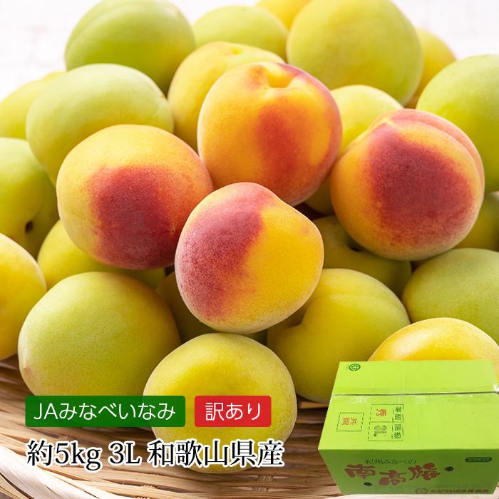 梅 南高梅 和歌山県産 訳あり 約5kg 3Lサイズ : 産直プレミアム - 通販 - Yahoo!ショッピング