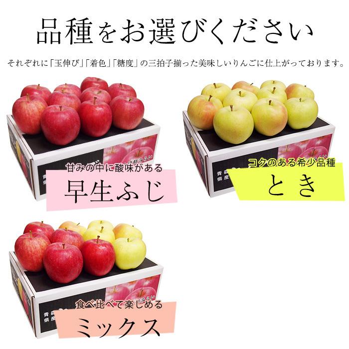 りんご 早生ふじ とき MIX 青森県産 特A 約3kg 9〜12玉 : 産直プレミアム - 通販 - Yahoo!ショッピング